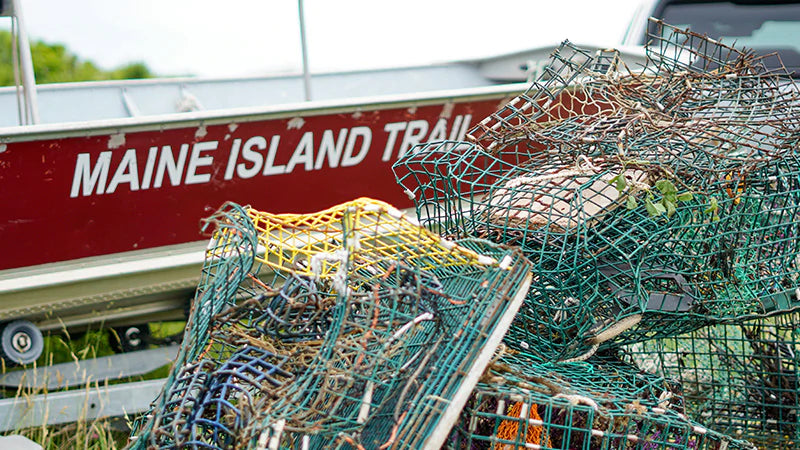 Maine Island Trail Association: Cleanup with Good To-Go